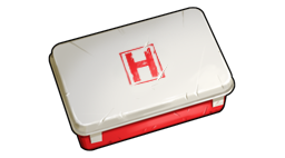 PATCH NOTES 1.29 - August 29th, 2024 :: Eternal Return